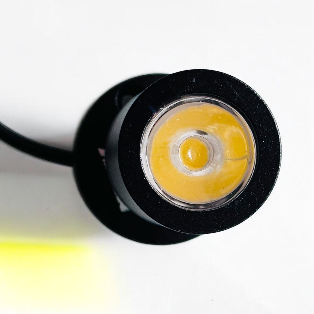 AKI USB Mini LED - Scene Display Lightning – STOCKHOLM REPTILES